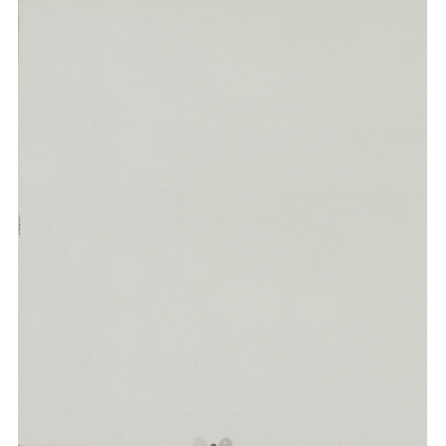 Calico White - Granite Countertop Solutions Slab Inventory