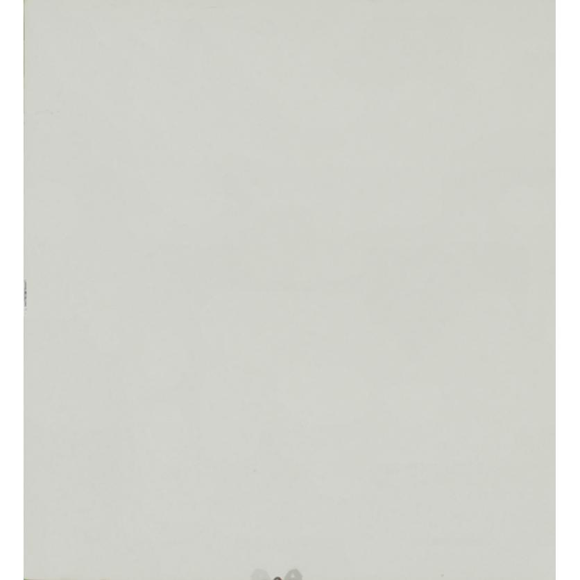 Calico White - Granite Countertop Solutions Slab Inventory